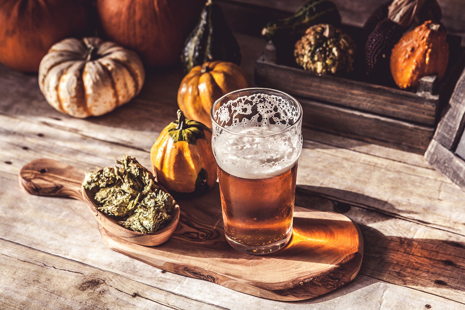 Modern methods of pasteurization and filtration of beer – Greenwood Whiskey